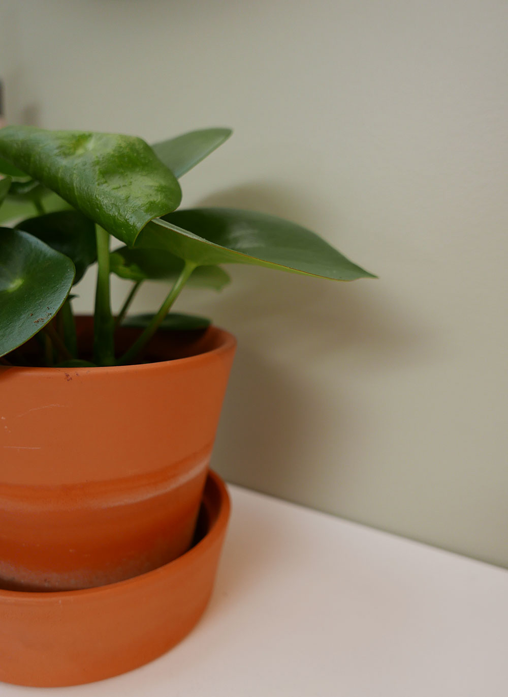 En vegg – tre farger - Enkel Fornyelse - Butinox